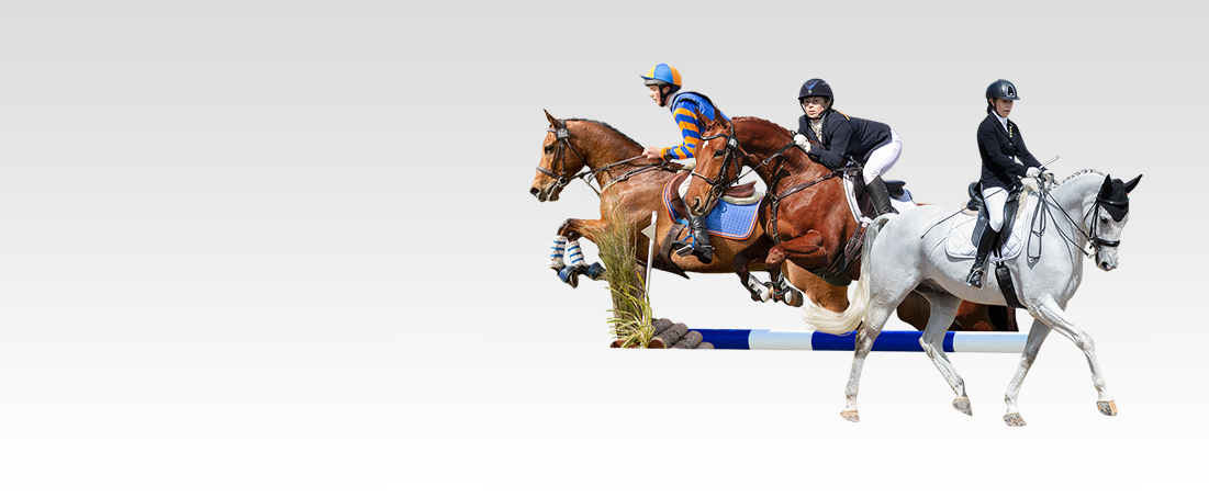 My Show Secretary | Equestrian Event Management Software that manages ...